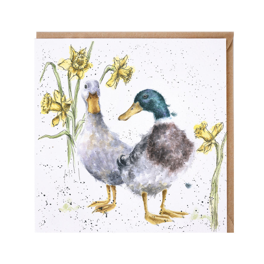 Wrendale Designs card Country Set DUCKS AND DAFFS ducks daffodils ...